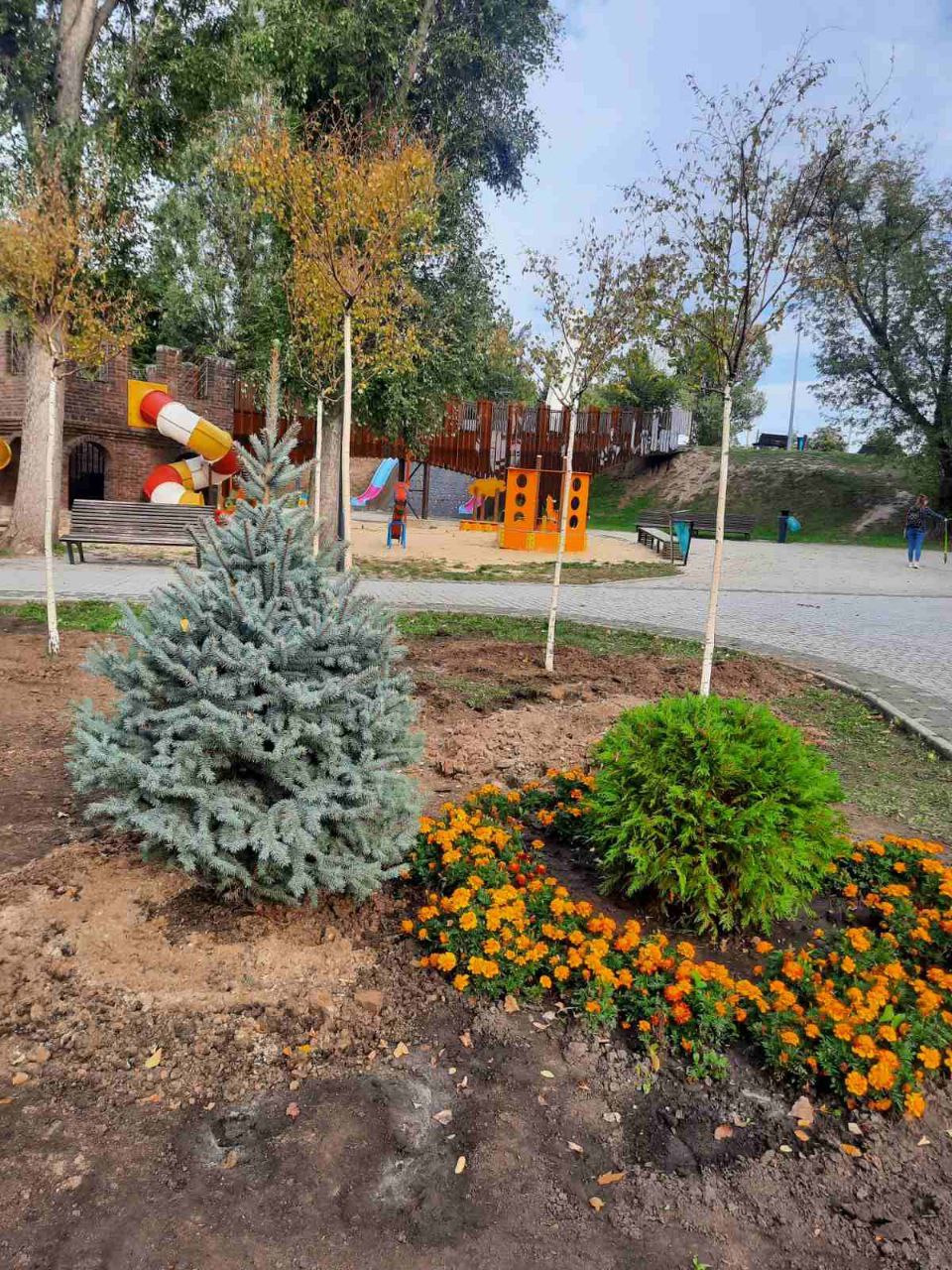 У харківському парку "Юність" висадили понад 300 рідкісних дерев і кущів (фото) - Харків Vgorode.ua