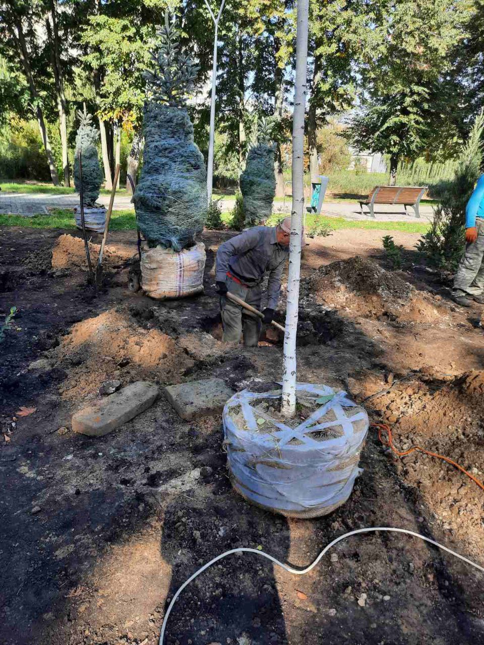 У харківському парку "Юність" висадили понад 300 рідкісних дерев і кущів (фото) - Харків Vgorode.ua